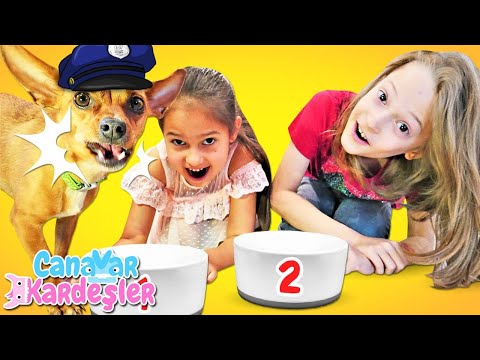 Çocuk videoları. CANAVAR KARDEŞLER -  Köpek Panço ne seçecek? Eğlenceli challenge oyunu!