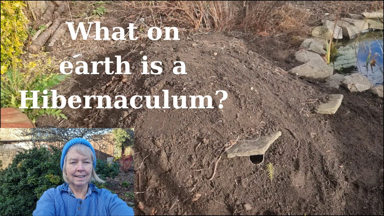 Making a hibernaculum - YouTube