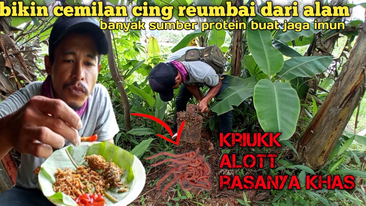 bikin cemilan dari bahan cacing tanah kriuk nya gak ketahan jamin ...