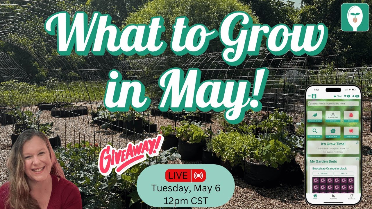 May Garden Guide: What to Plant & Tips for Success! - YouTube