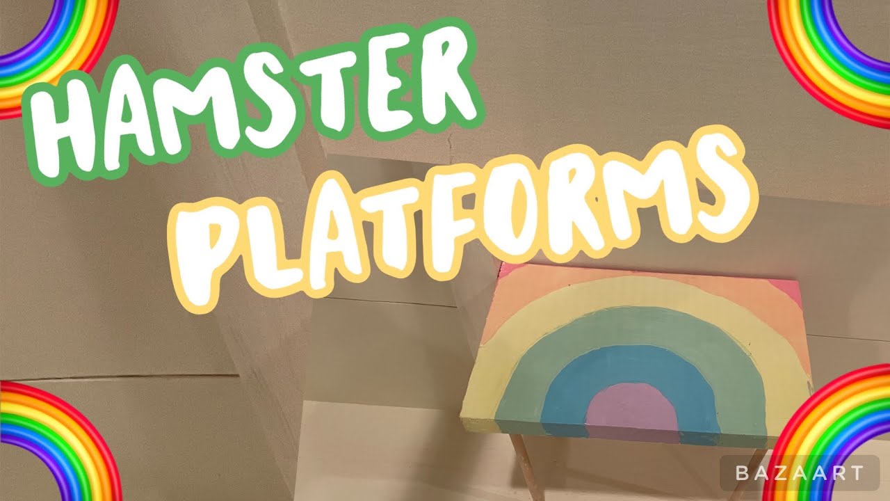 Making 4 DIY Rainbow Platforms for my Hamster | Upgrading my Hamster’s ...