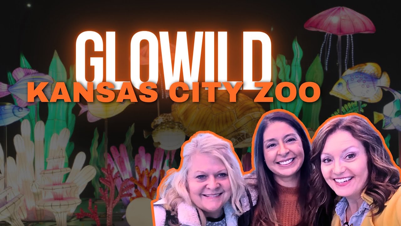 Glowild at the kc zoo! | Living in Kansas City - YouTube