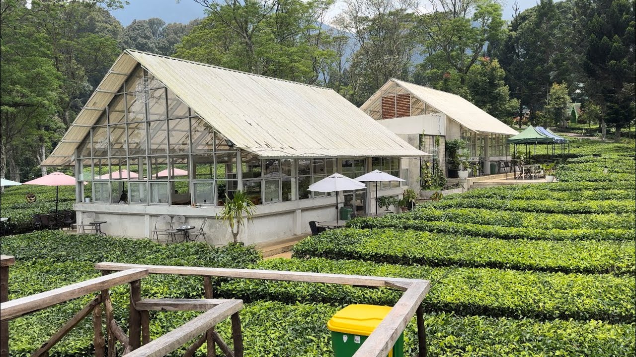 PePeTeKa Cafe CIWIDEY BANDUNG||Cafe Aesthetic||Tempa Nongki Sejuk||Cafe ...