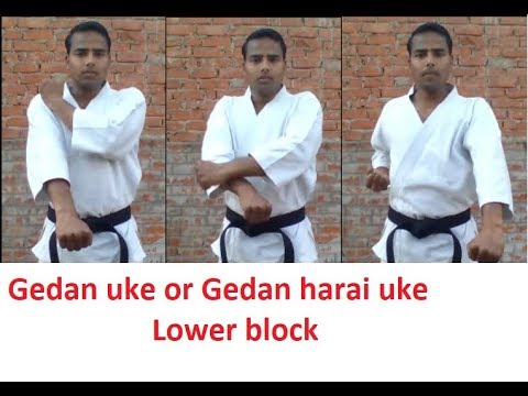 Karate Tutorial | Gedan uke || Gedan harai uke || lower block | part 1 ...