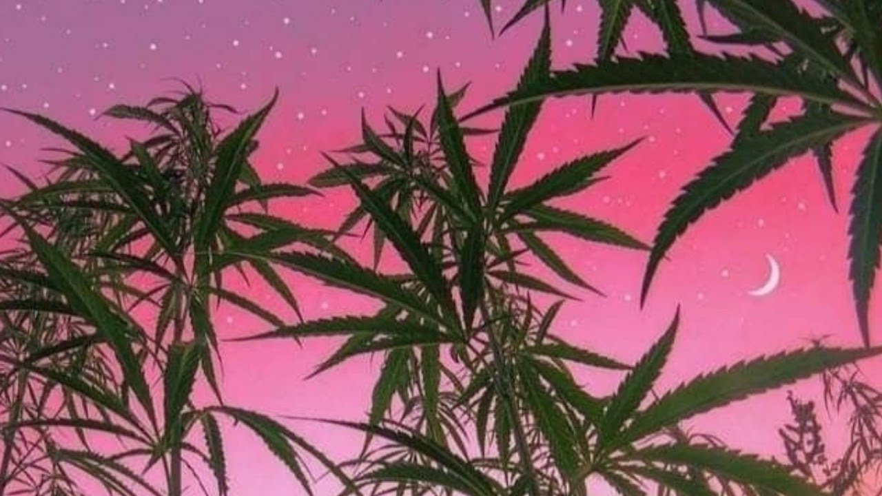 REGGAE MUSIC | Mix | 2020 | #1 | Orgullo Cannabico 420 - YouTube