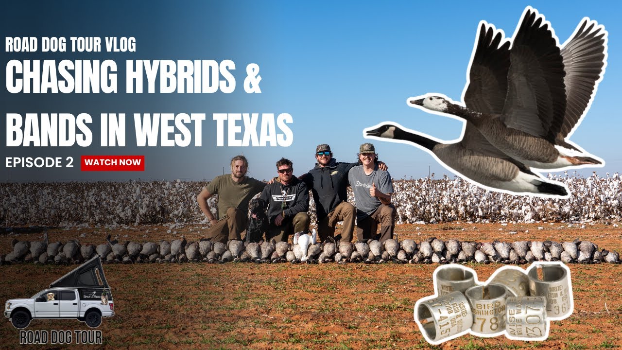Chasing HYBRIDS and BANDS in West Texas | Road Dog Tour Ep. 2 - YouTube