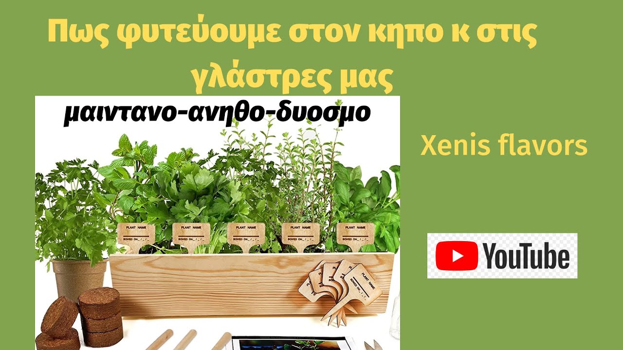 Μαιντανός-Άνηθος-Δυόσμος!ΦΥΤΕΥΣΗ ΣΤΗΝ ΑΥΛΗ ΜΑΣ Κ ΣΕ ΓΛΆΣΤΡΕΣ!ΠΩΣ ...