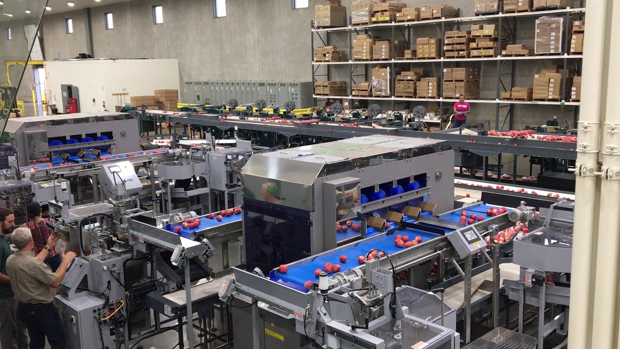 Sims Manufacturing,Automatic Pouch Bagger-apples - YouTube