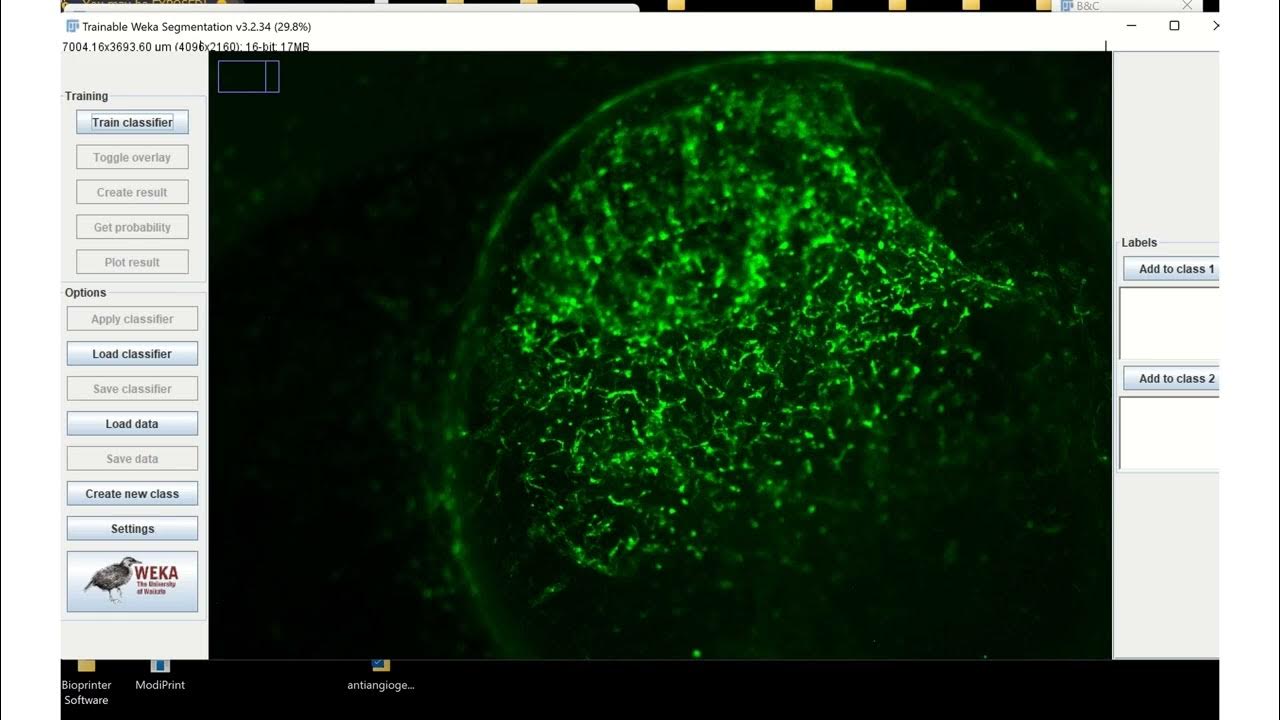 Analysis Tutorial 1: Automation: WEKA machine learning: adding scale bar: Image calibration ...