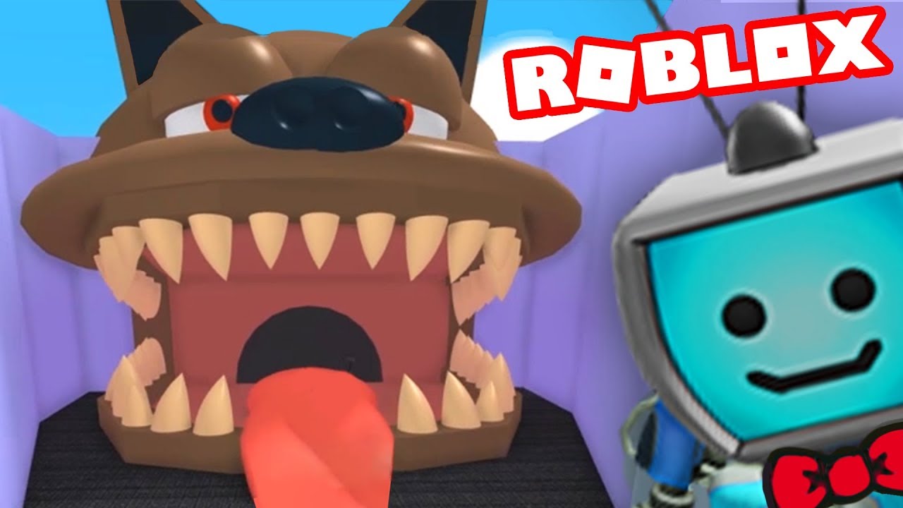 Roblox ESCAPE the Pet Store OBBY! - YouTube
