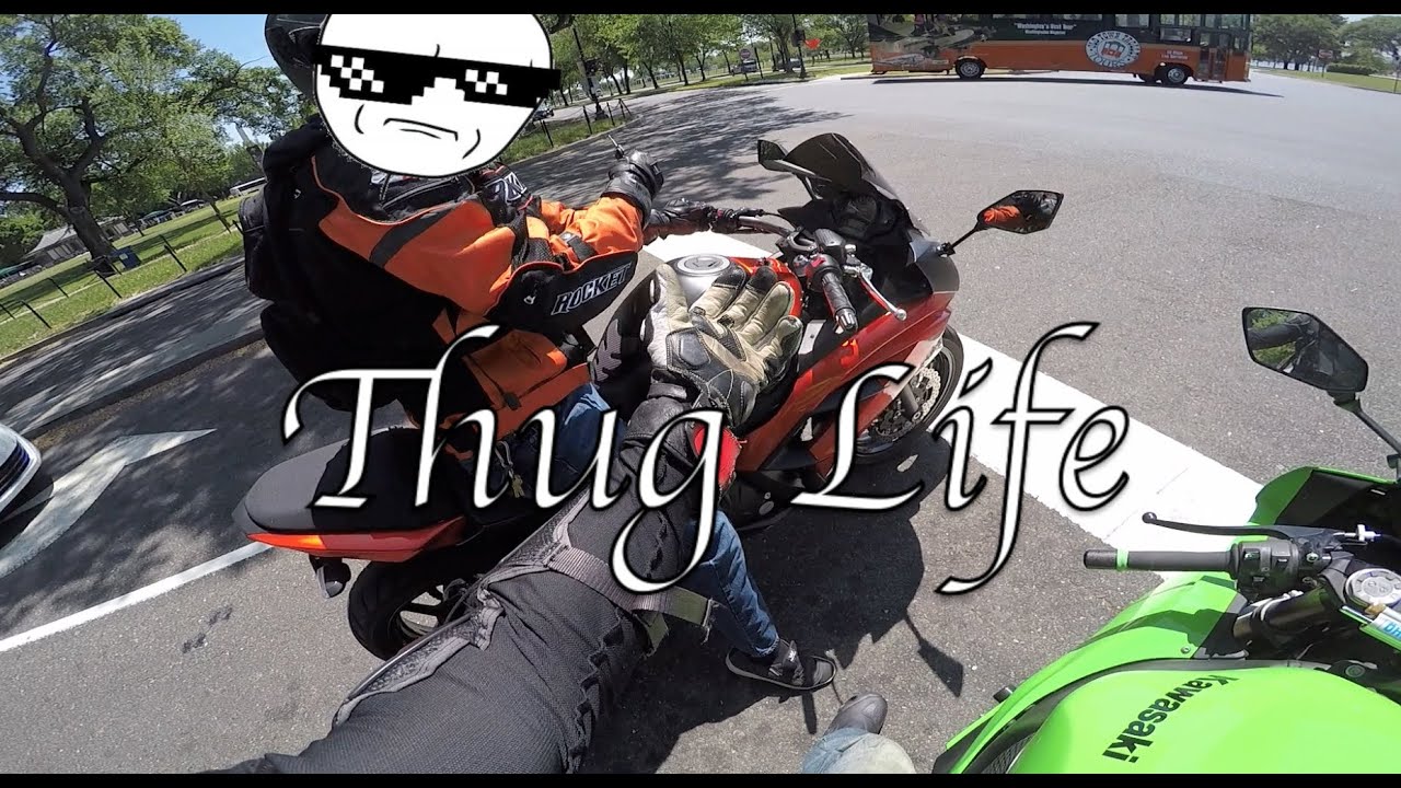 Thug Life / ZX6R vs Ninja 650 Fly bys / S1000RR Off Road / Cops ...