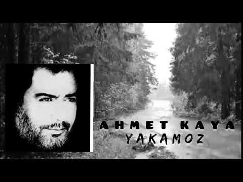 AHMET KAYA ~ yakamoz