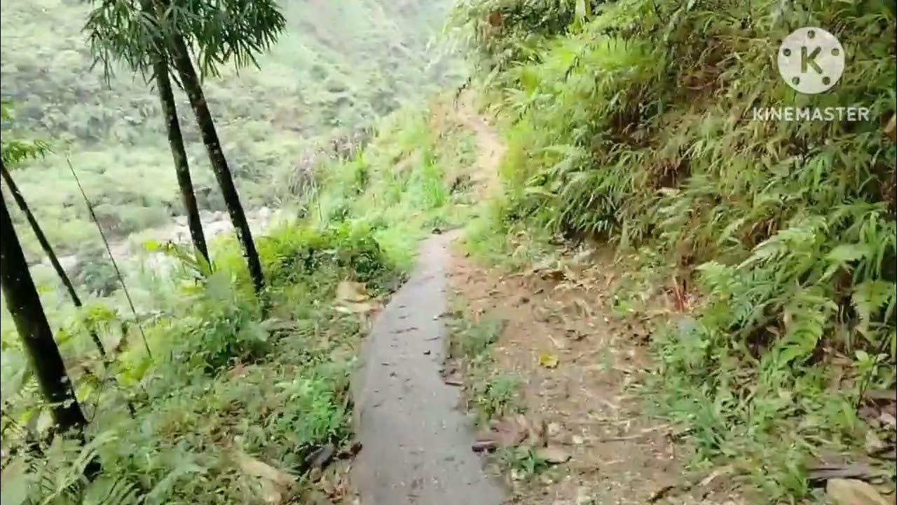 hnub no peb mus ua liaj 8/6/2024 - YouTube