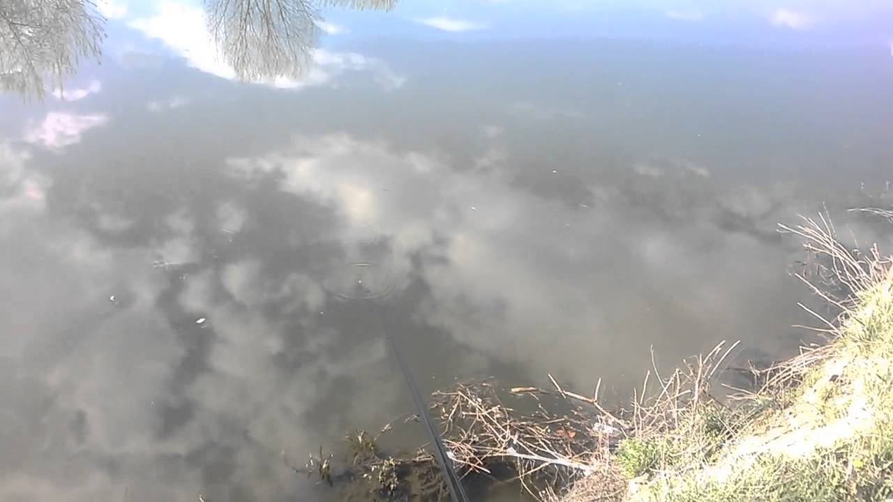 Pescuit la pluta pe raul mures - YouTube