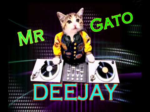 Dj. En Acción - Mr. Gato MegaMix. (audioMejorado) - YouTube
