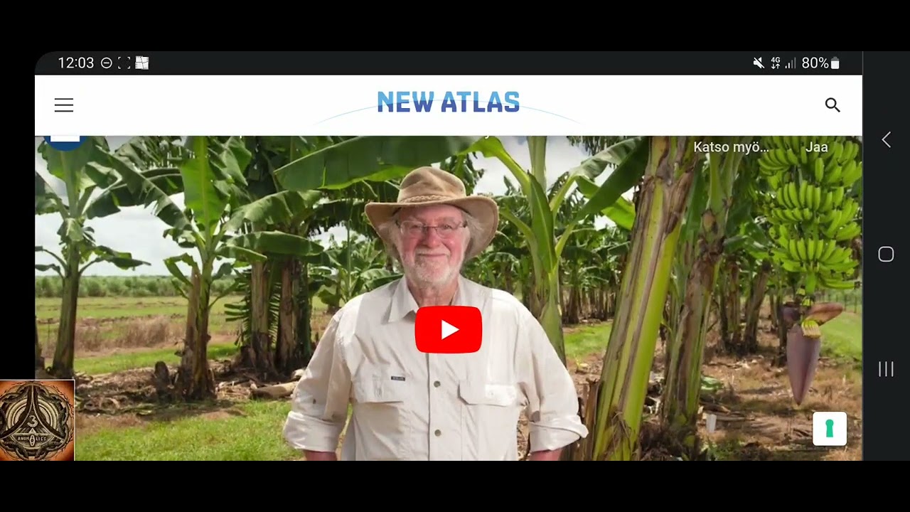 Bananas and "Spirit-Beings" - YouTube