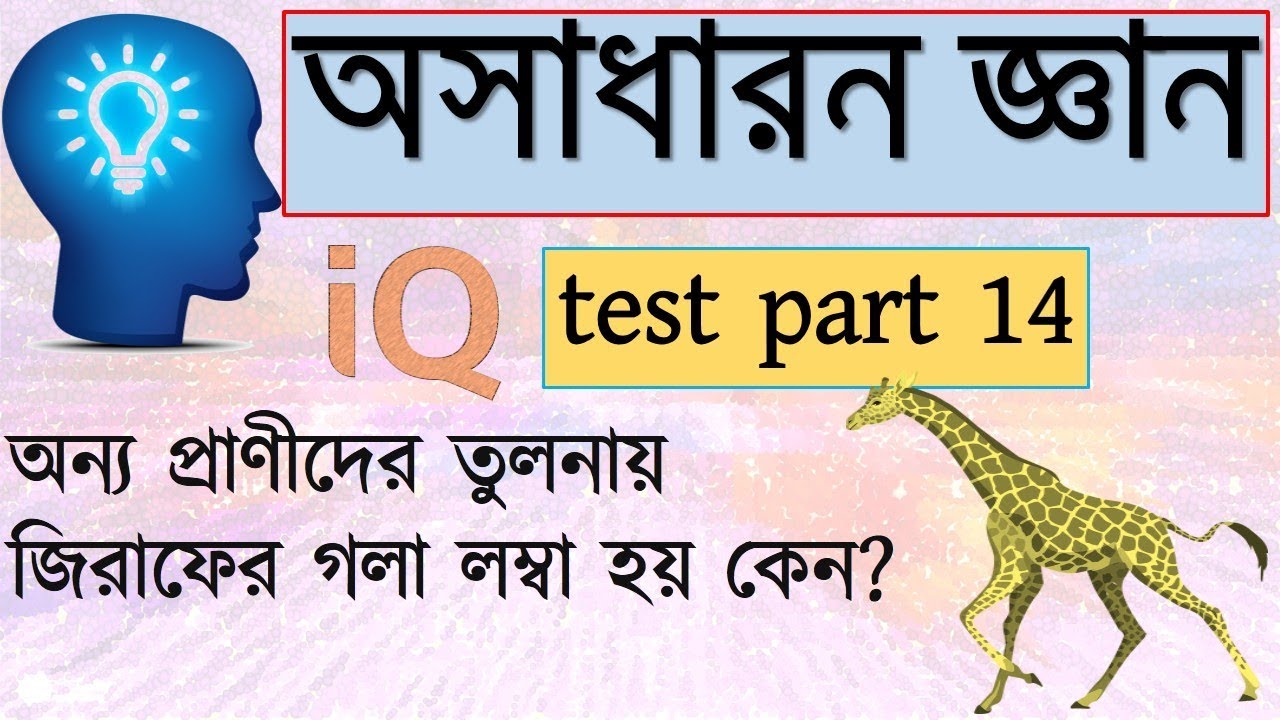 IQ Test Questions And Answer In Bangla BCS General Knowledge iq-test-questions-and-answer-in-bangla-bcs-general-knowledge