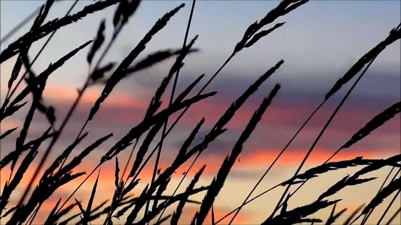 Pink Floyd - Fat Old Sun - YouTube