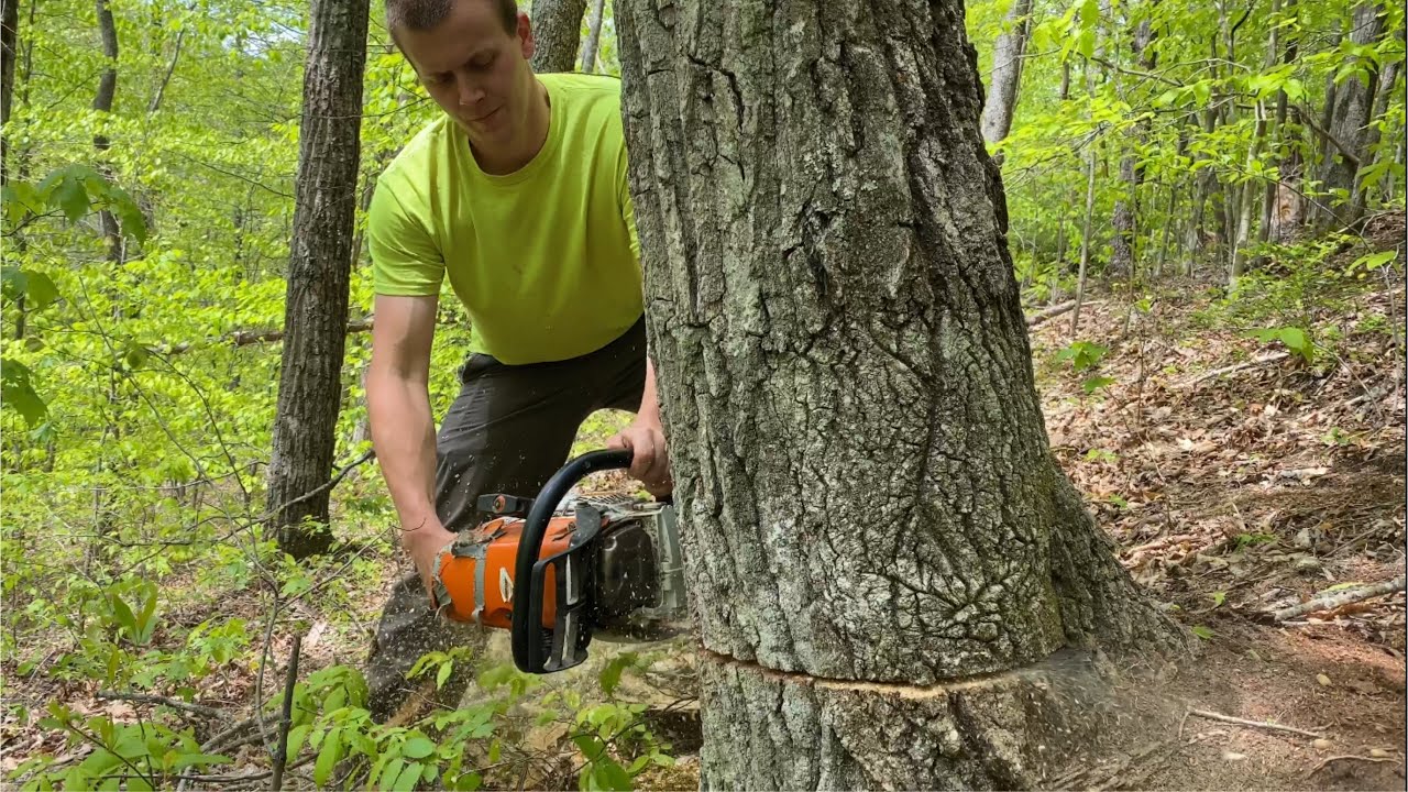 First logging video of 2020 - YouTube