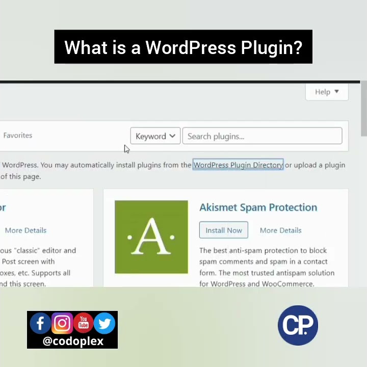 What is a WordPress Plugin? - Learn WordPress in Urdu - YouTube