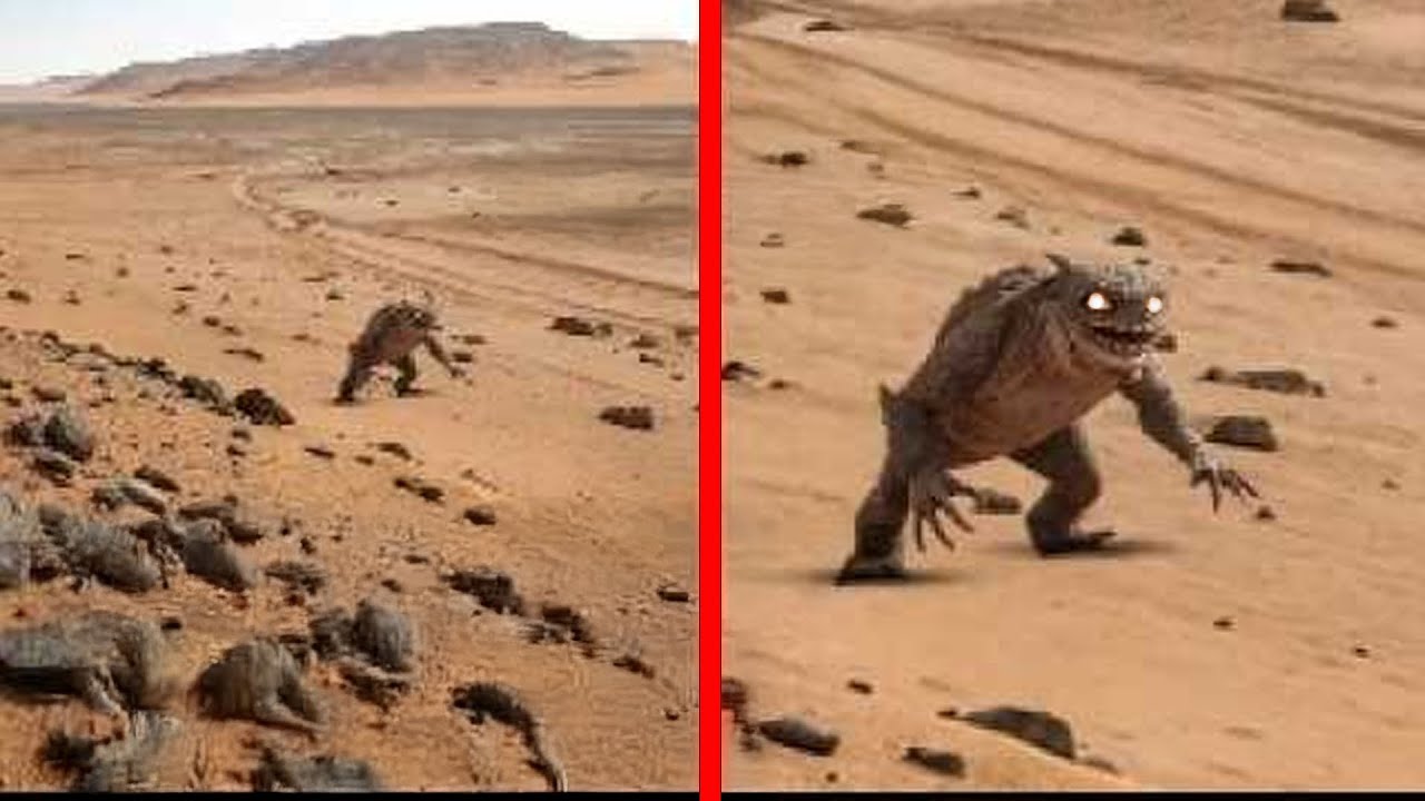Scientists Found Creatures That Can Survive in Outer Space - YouTube