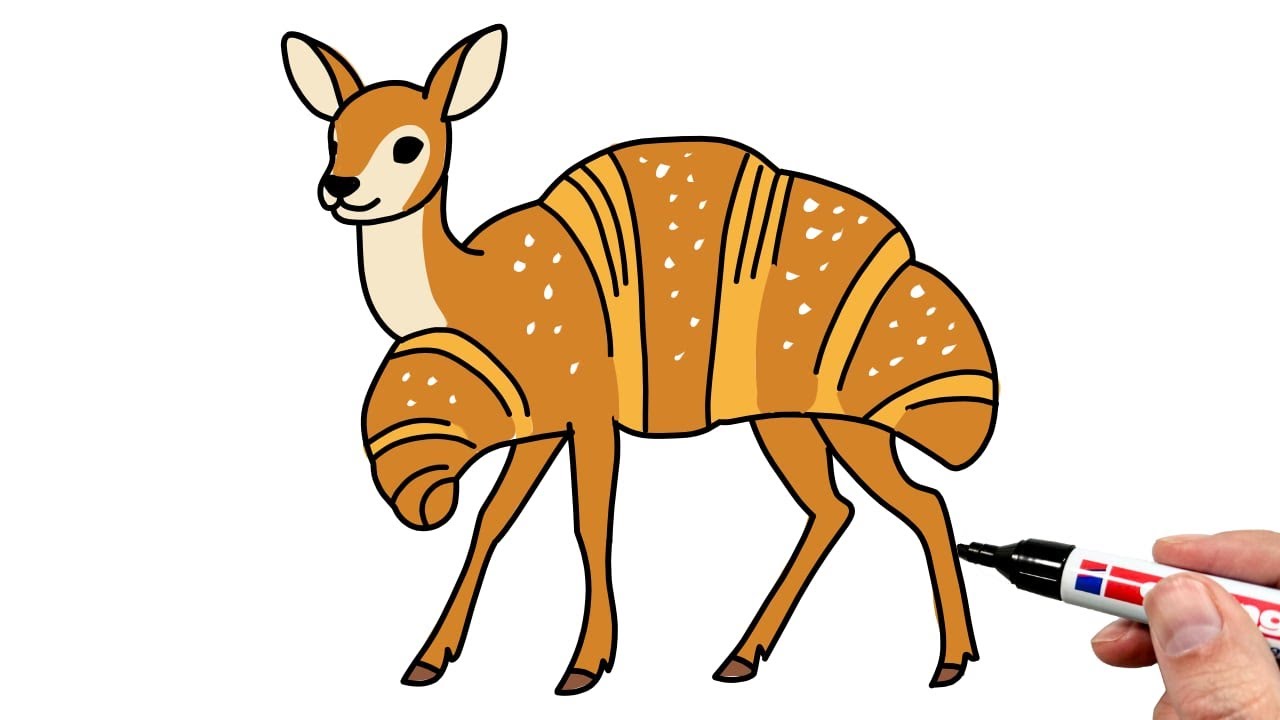 How to Draw Bambini Crossini - YouTube