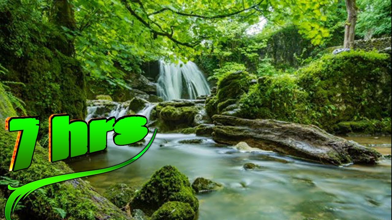 7 hrs de Sonidos relajantes de río Tranquilo 7 hours of Relaxing Sounds ...