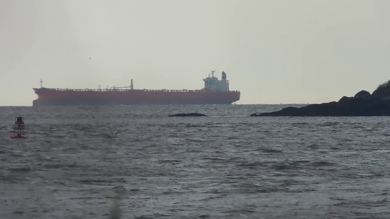 looking for seals/ Shout out for channel: Ernie Hatmaker - YouTube