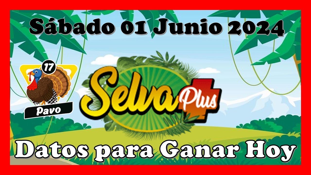 Datos Selva Plus para hoy 01 Junio 2024 - YouTube
