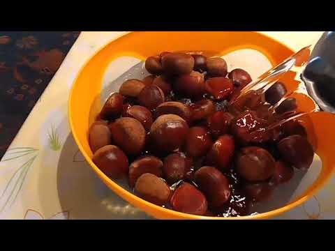 Neden çin kestanesi almamaliyiz.