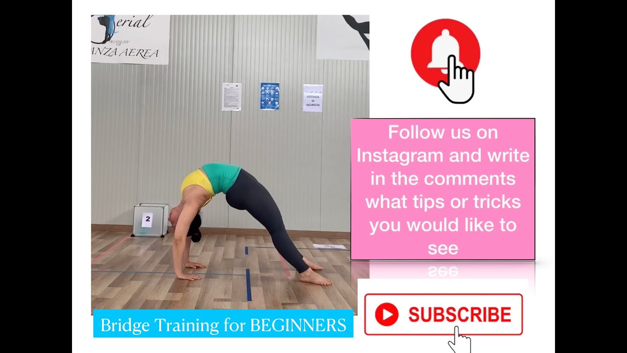 Bridge for BEGINNERS - YouTube