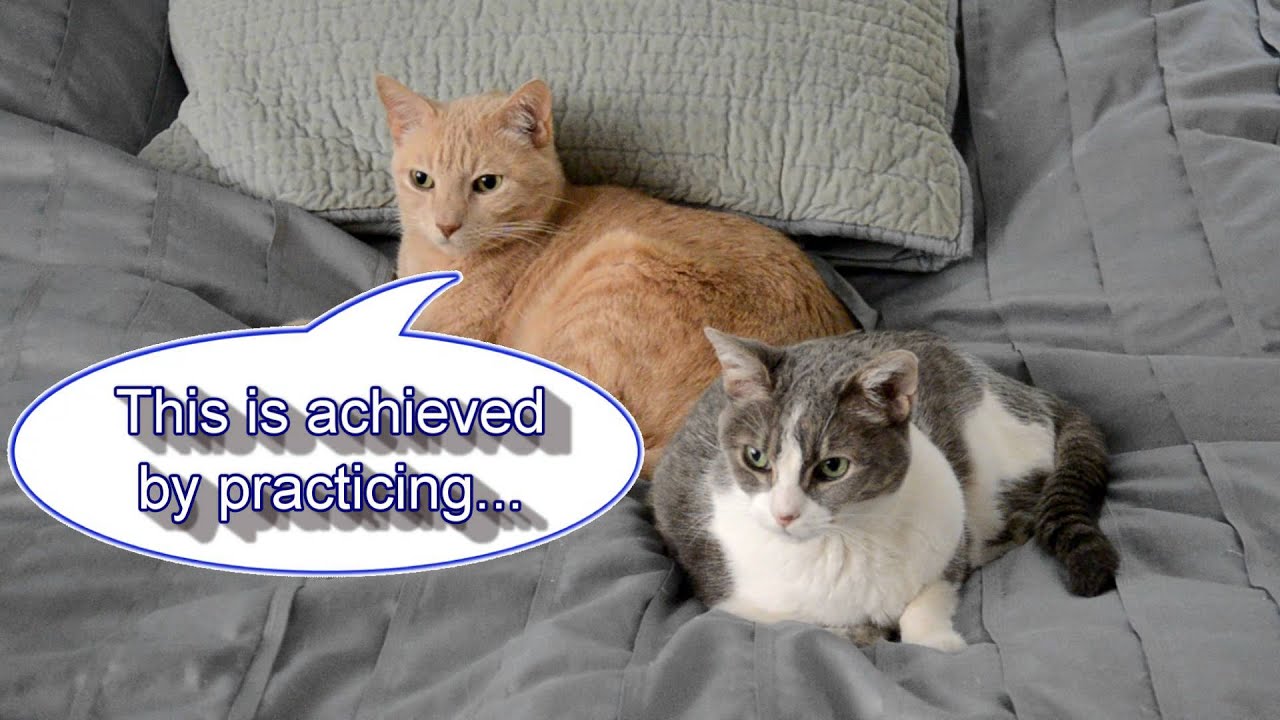 Kit and Kat on Talking With Your Partner - YouTube