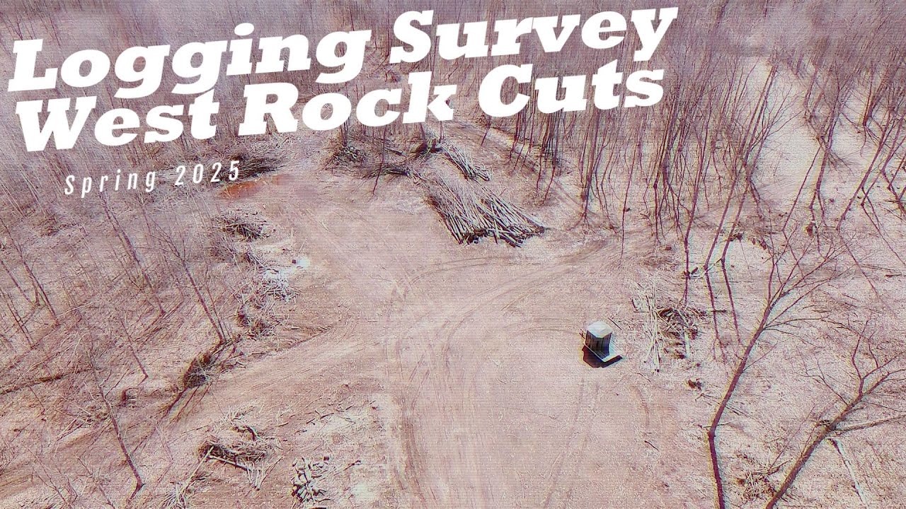 Logging Survey - West Rock Cuts - YouTube