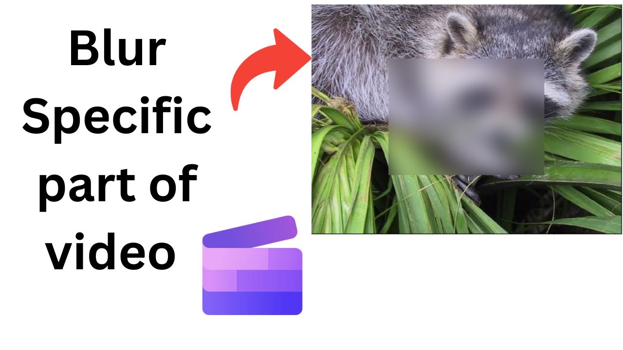 How to Blur Part of Video in Clipchamp Tutorial - YouTube
