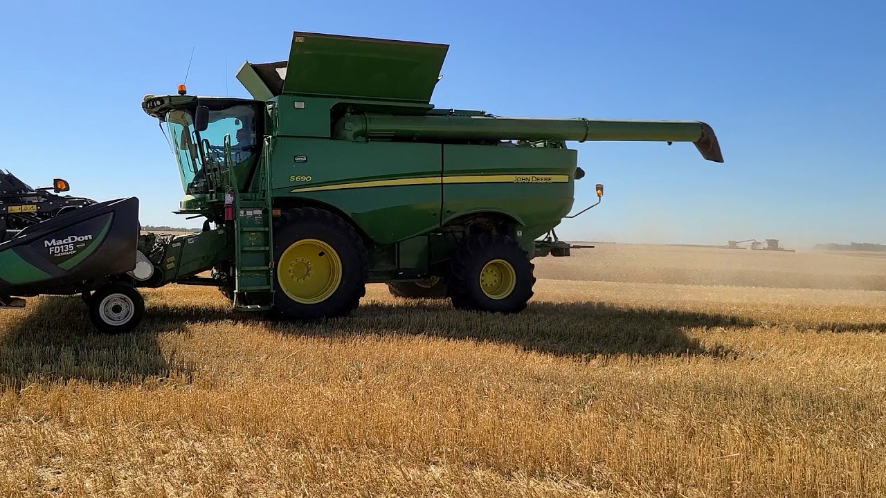 Combining Wheat in Saskatchewan 2020 - YouTube