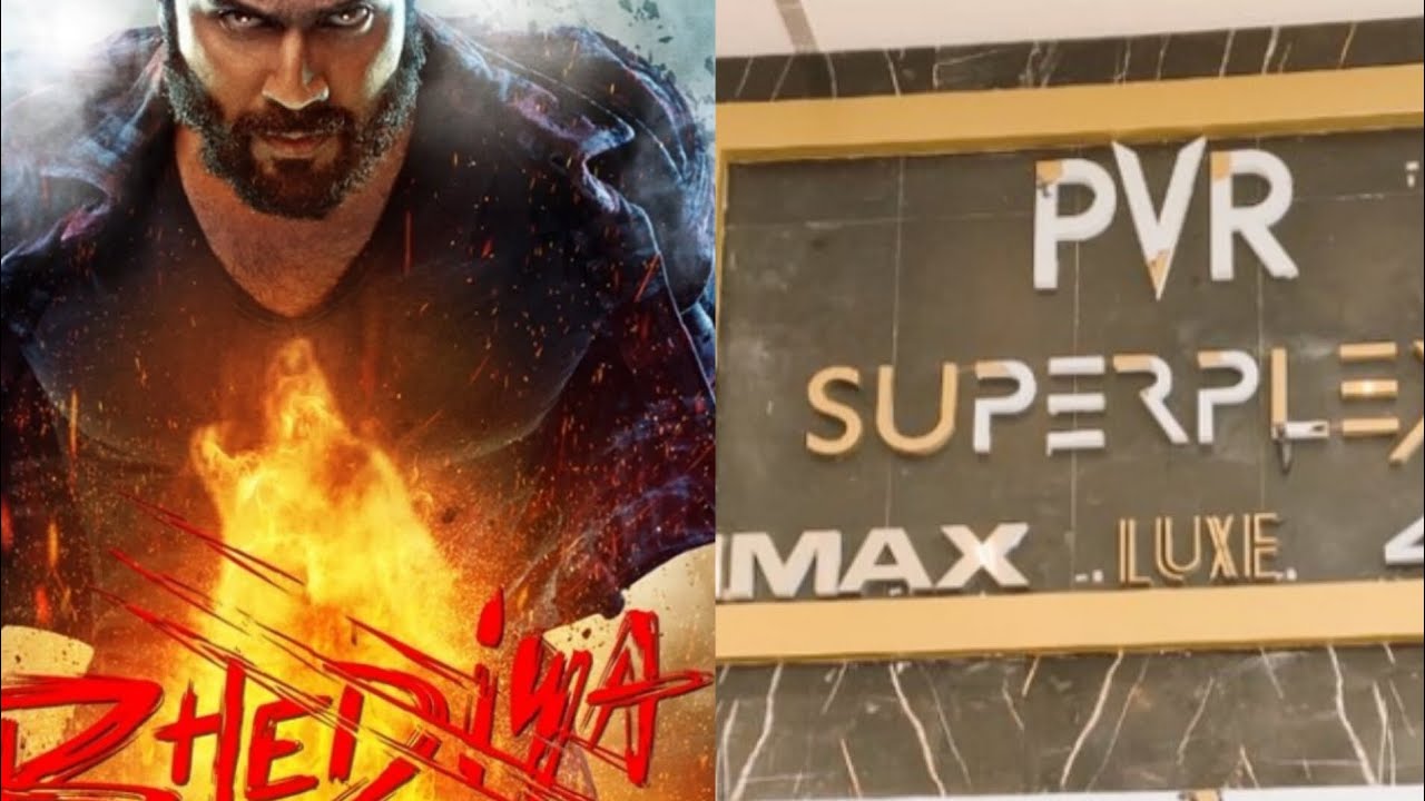 BHEDIYA(3D) MOVIE REVIEW & PVR SUPERPLEX SCREEN 5 EXPERIENCE - YouTube