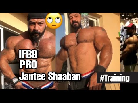 TRAINING HARD | كمال الاجسام IFBB PRO JANTEE SHAABA سعد شعبان - YouTube