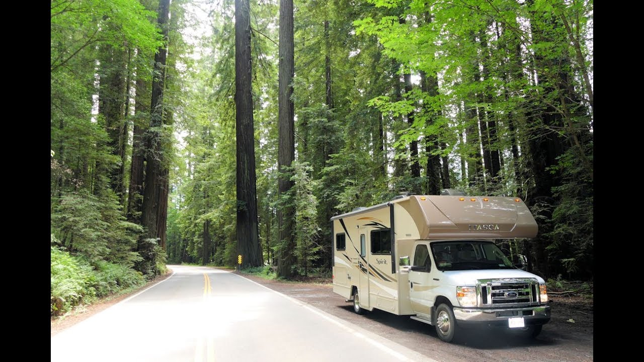 Giant Redwoods Forest RV Tour! - YouTube