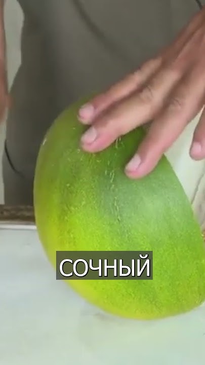 Японцы скрестили ЛИМОН и ДЫНЮ Youtube