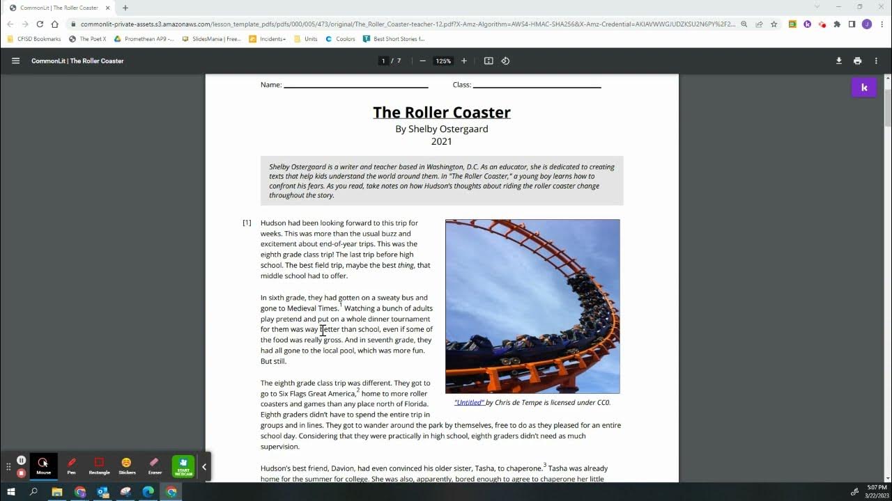 The Roller Coaster by Shelby Ostergaard - YouTube