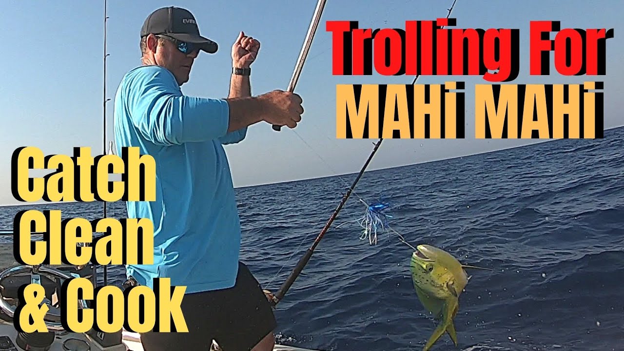 Trolling for MAHI MAHI Catch Clean Cook Crispy Mahi Parmesan - YouTube