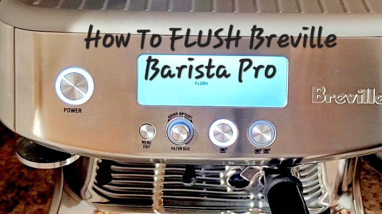 How to FLUSH Breville Barista Pro #cleaning #espressomachine - YouTube