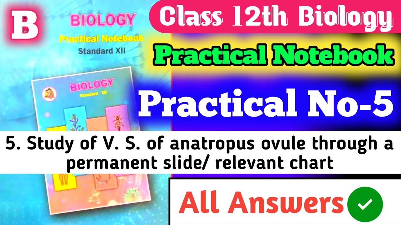Class 12th Biology Practical Notebook|| B) 5.Study of V. S. of ...
