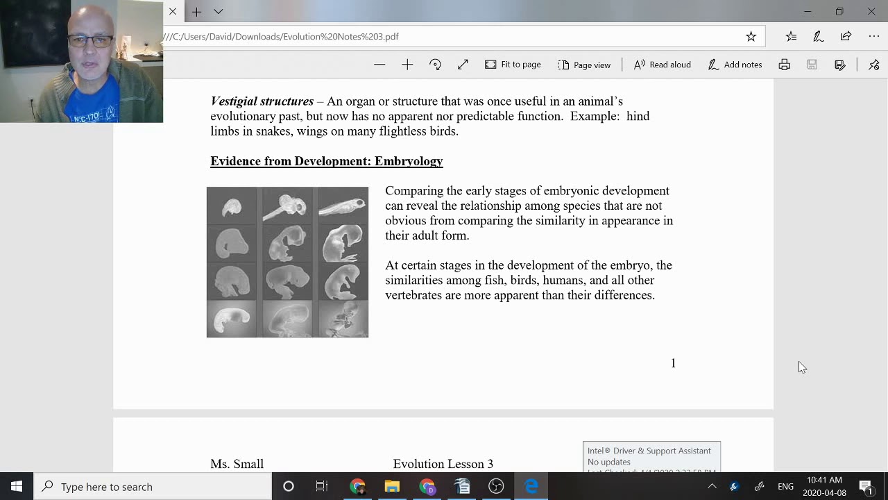 Lesson 2 Evidence for Evolution - YouTube