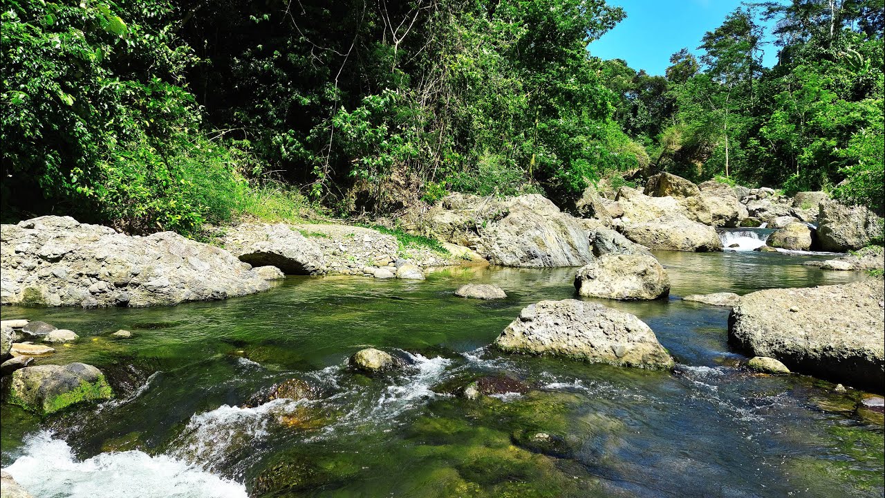 Sleep Instantly & Relax Deeply with Peaceful Stream Sounds in a ...