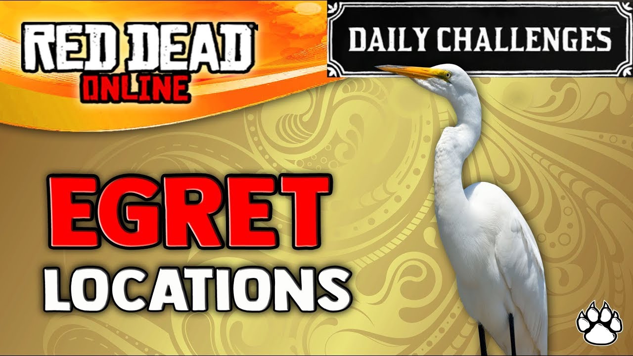 Red Dead Online - Egret Locations - RDR2 Daily Challenge Egrets Skinned ...