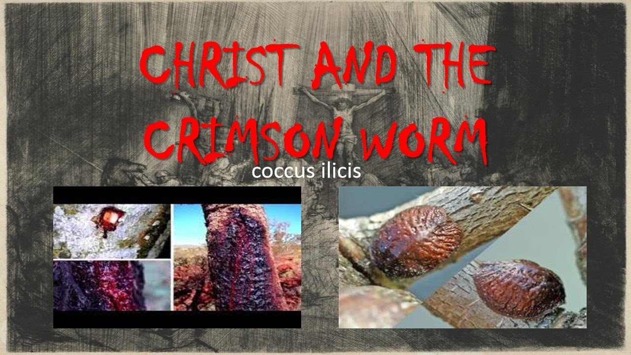CHRIST AND THE CRIMSON WORM - YouTube