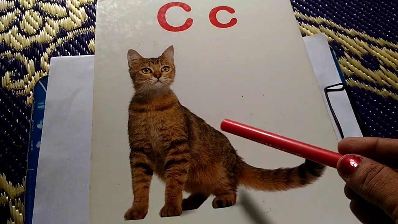 HOW TO RECOGNIZE ALPHABET C YouTube HOW TO RECOGNIZE ALPHABET C YouTube