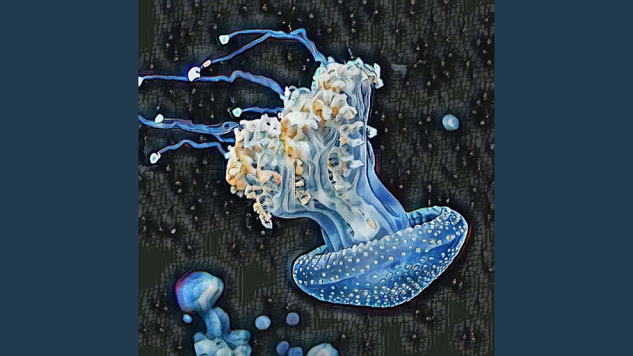 Reeds bend with the undercurrent - YouTube