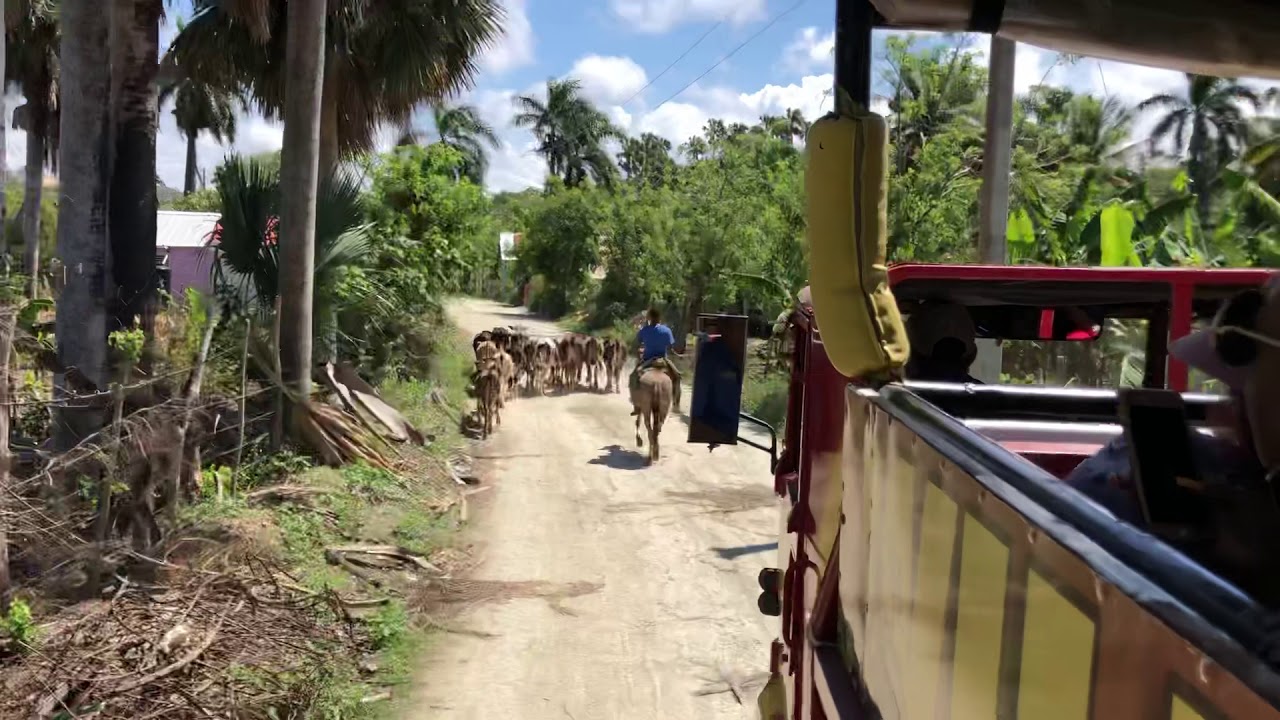 Cowboy up in Dominican Rep - YouTube